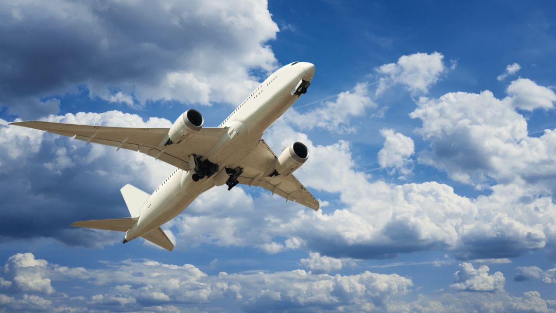 Wingo refuerza rutas y lanza nueva conexión entre Bucaramanga y Santa ...