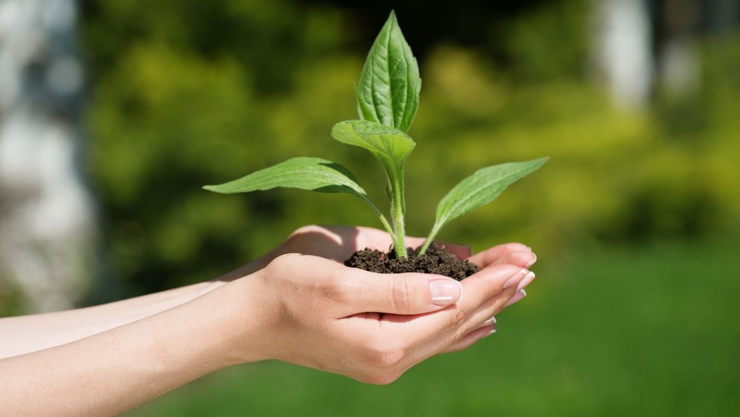 El agro colombiano registra un crecimiento excepcional del 8 % ...